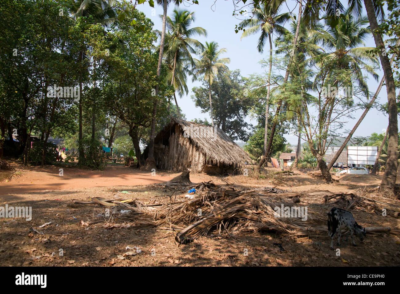 Traditional rural life in the village of Arpora, Goa Stock Photo - Alamy