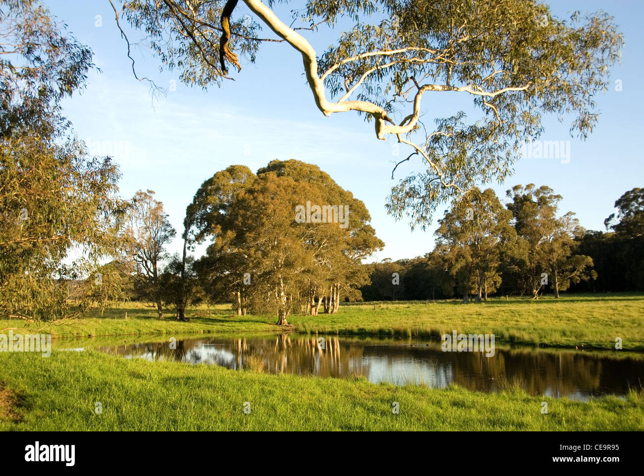 Farm_dam hi-res stock photography and images - Alamy