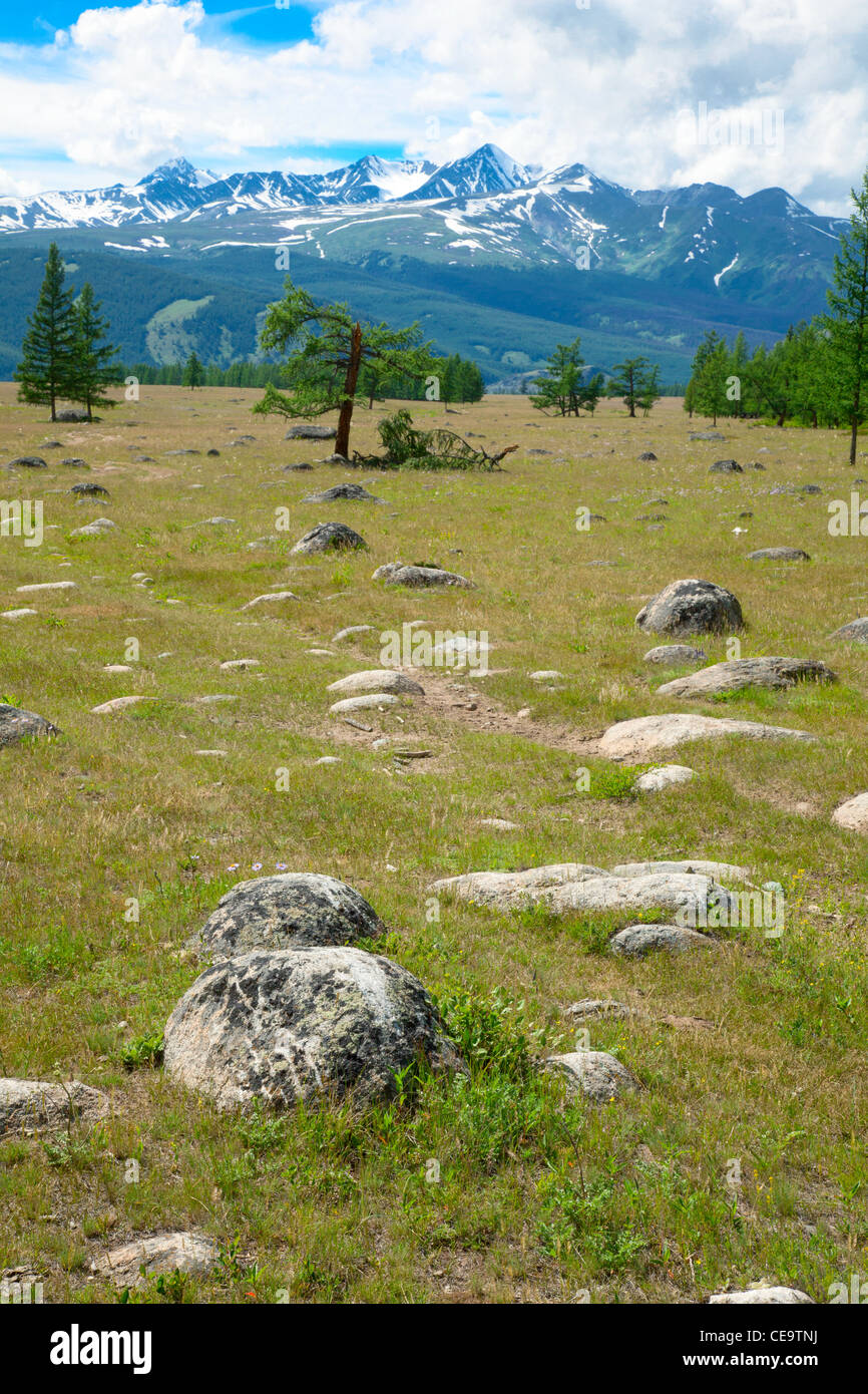 Altai snow mountain and steppe forest hi-res stock photography and ...
