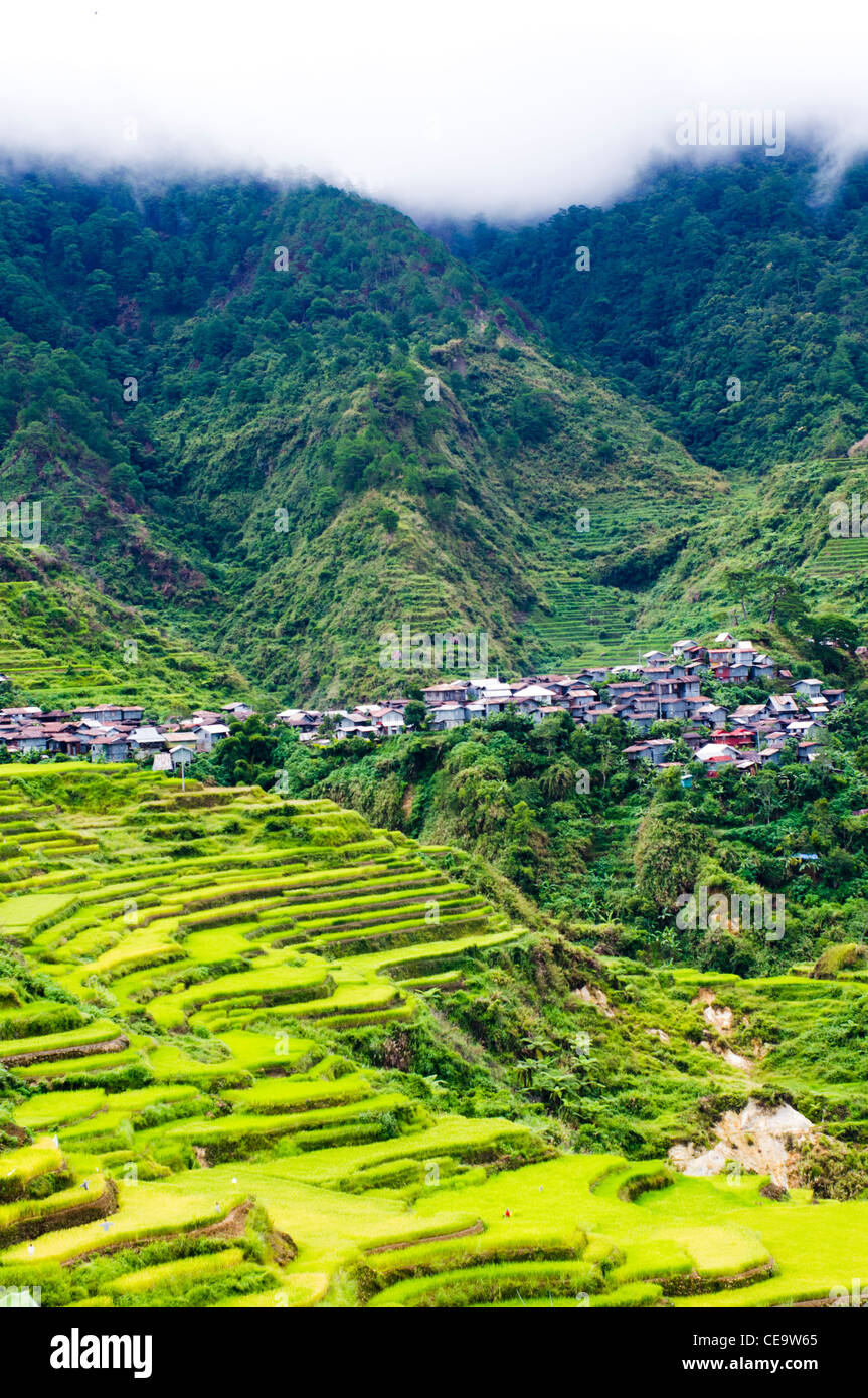 remote villages surrounds by rice terraces, philippines Stock Photo - Alamy
