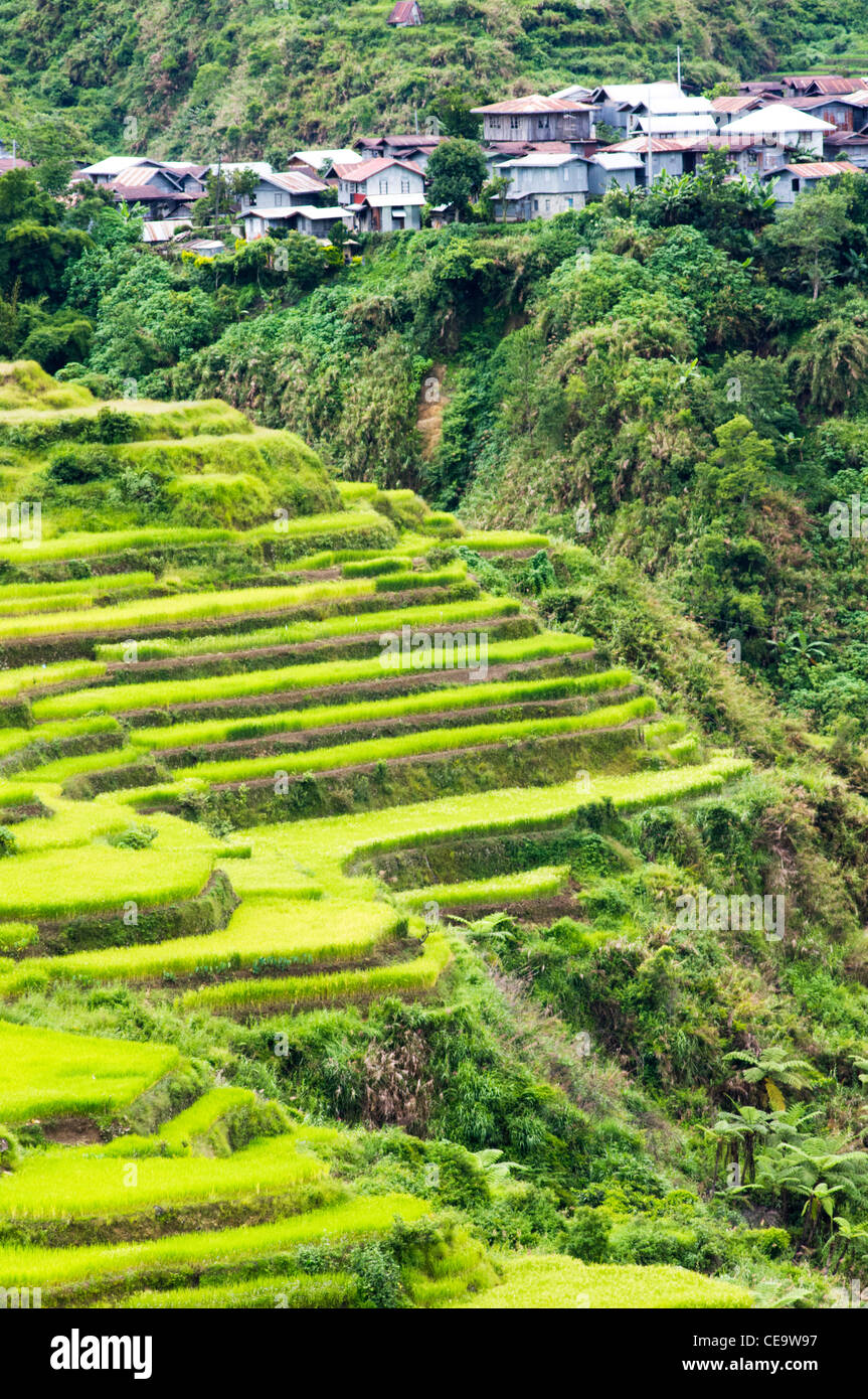 remote villages surrounds by rice terraces, philippines Stock Photo - Alamy