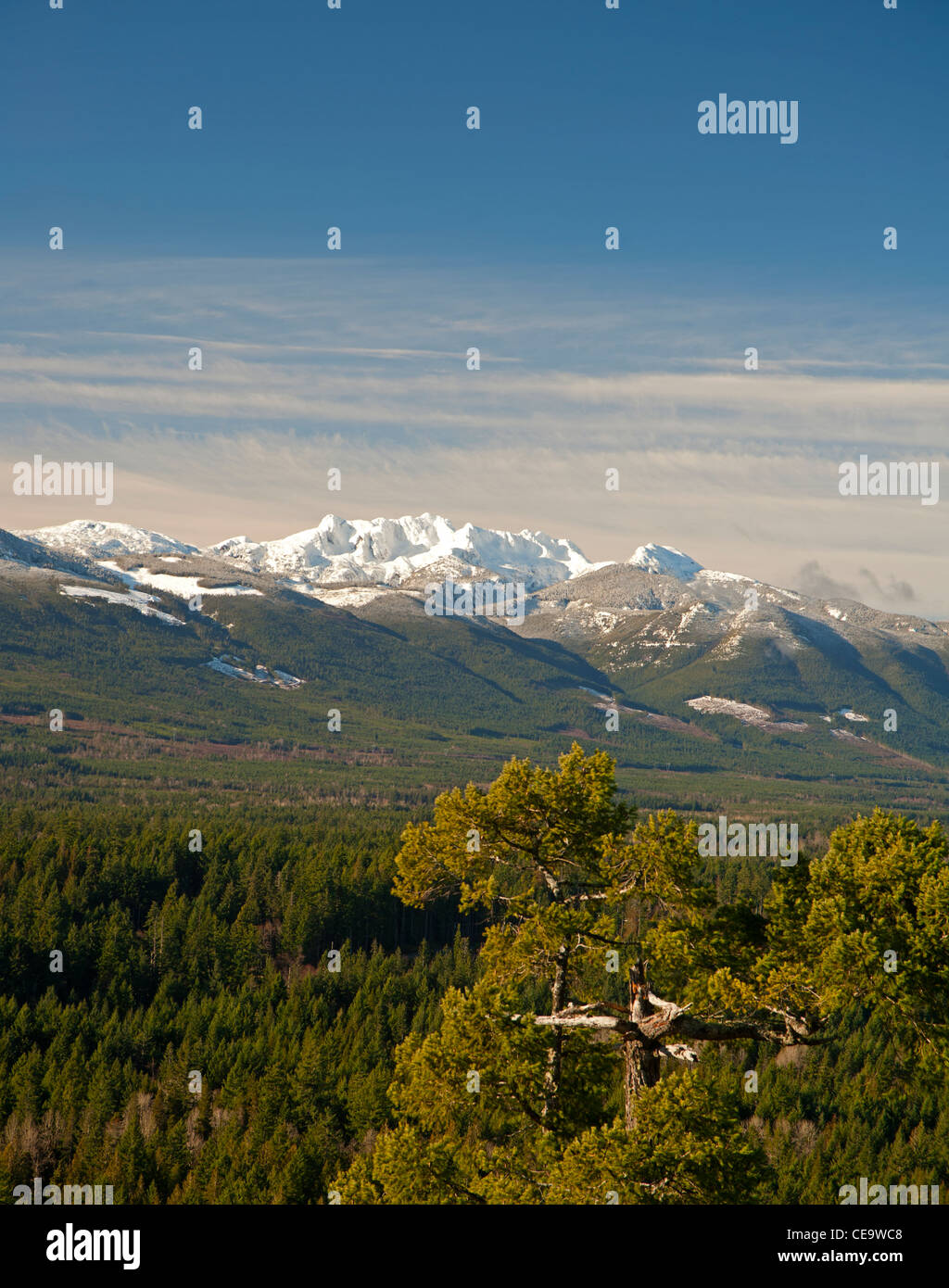 Mount Arrowsmith from Little Mountain Parksville British Columbia ...