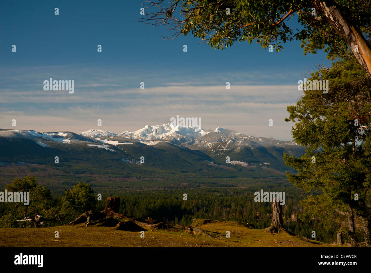 Mount Arrowsmith from Little Mountain Parksville British Columbia ...