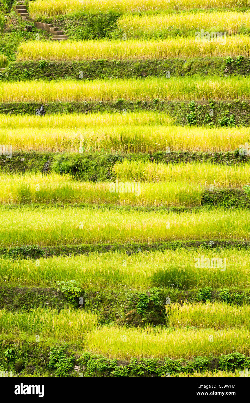Philippines pattern hi-res stock photography and images - Alamy