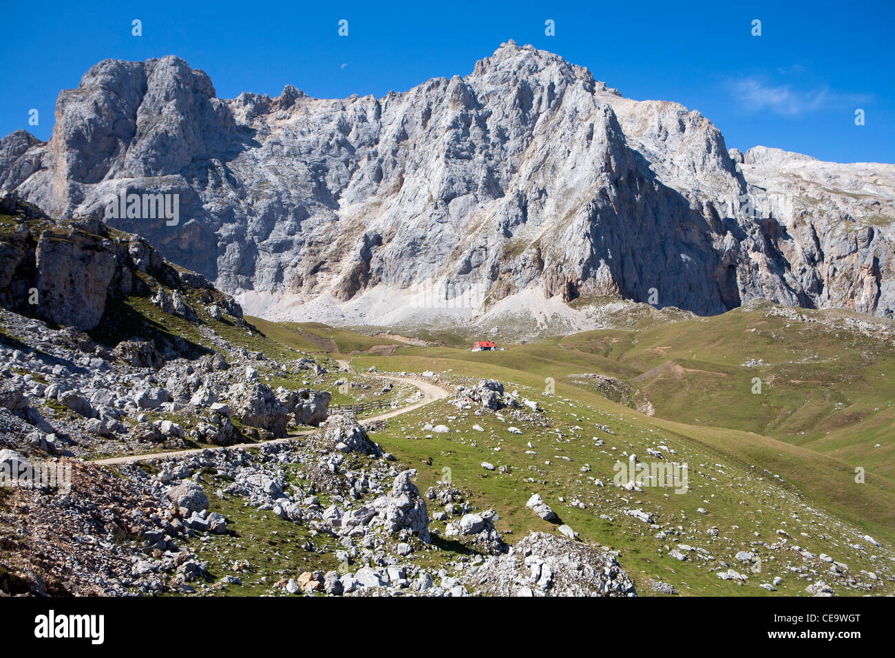 Aliva hi-res stock photography and images - Alamy