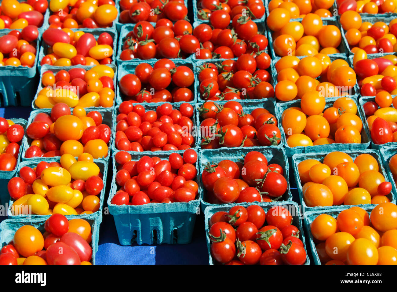 Orange tomatoes hi-res stock photography and images - Alamy