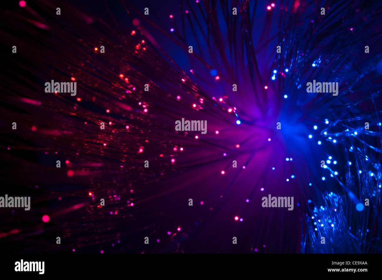 Multicolored optical fibers Stock Photo - Alamy