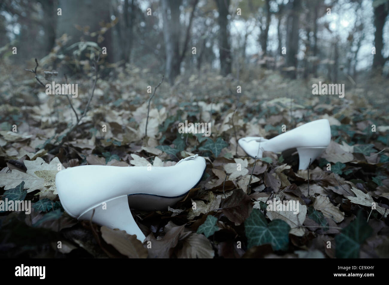 White woman's shoes in a forest in autumn Stock Photo - Alamy