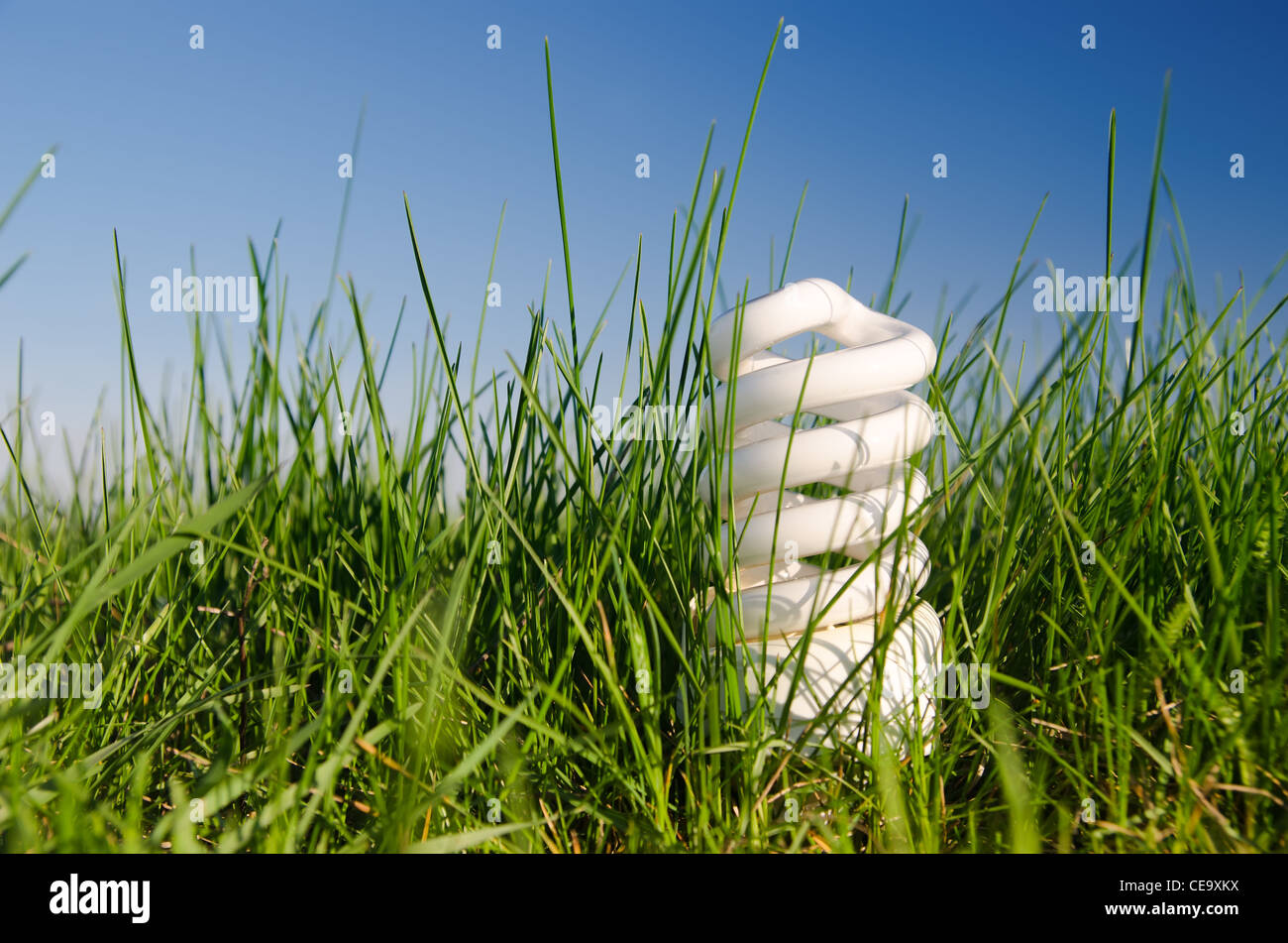 energy saving lamp in green grass Stock Photo - Alamy