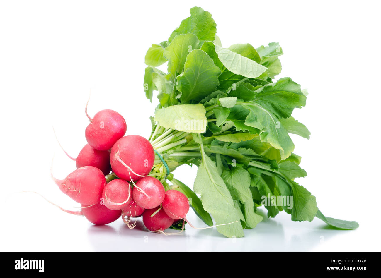 bunch radish isolates before white background Stock Photo - Alamy