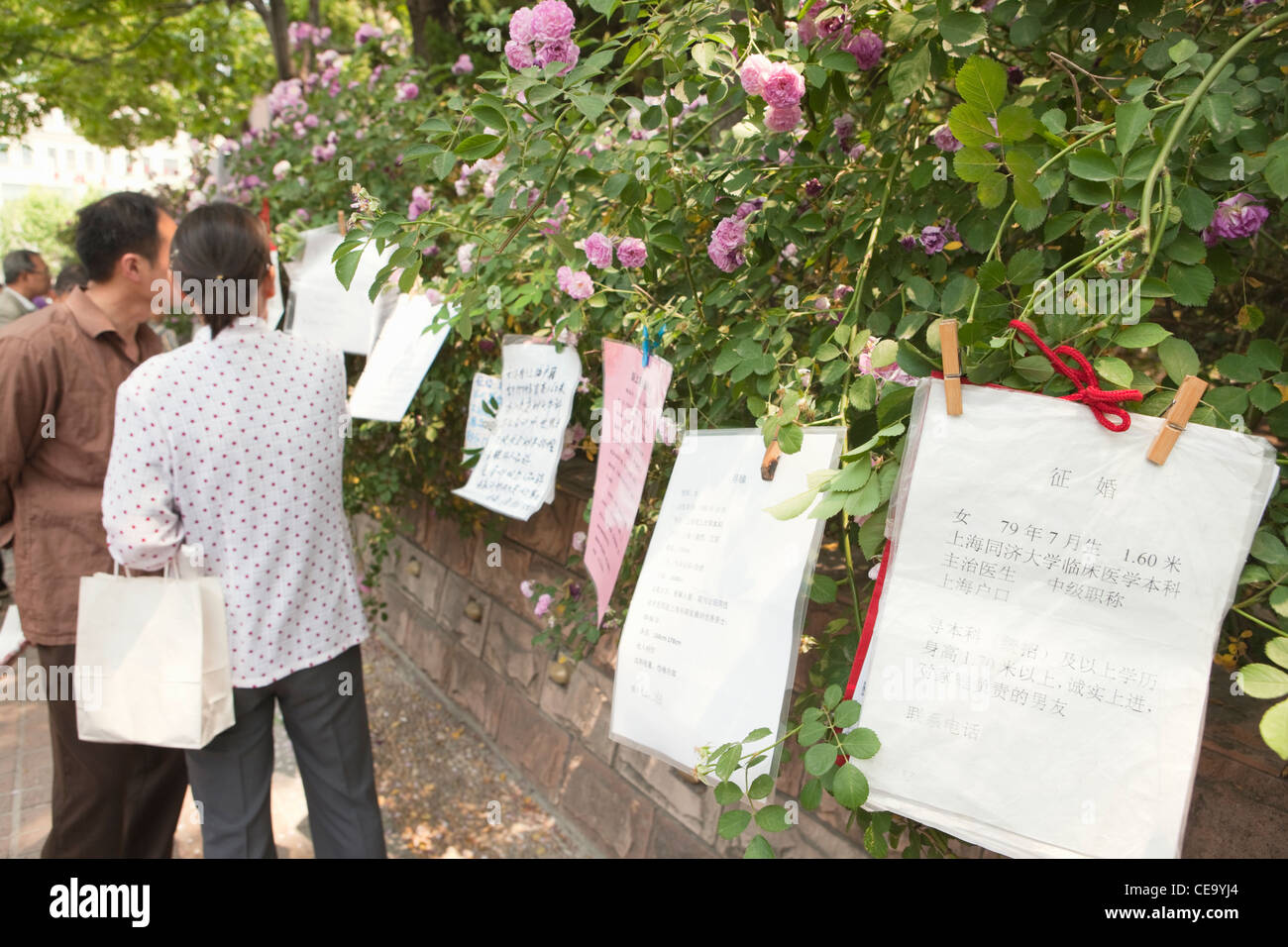 Marriage Market; People's Park; Shanghai Stock Photo - Alamy
