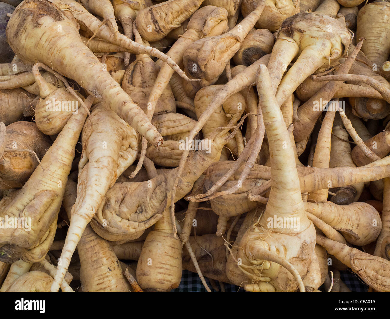 Pile of parsnips hi-res stock photography and images - Alamy