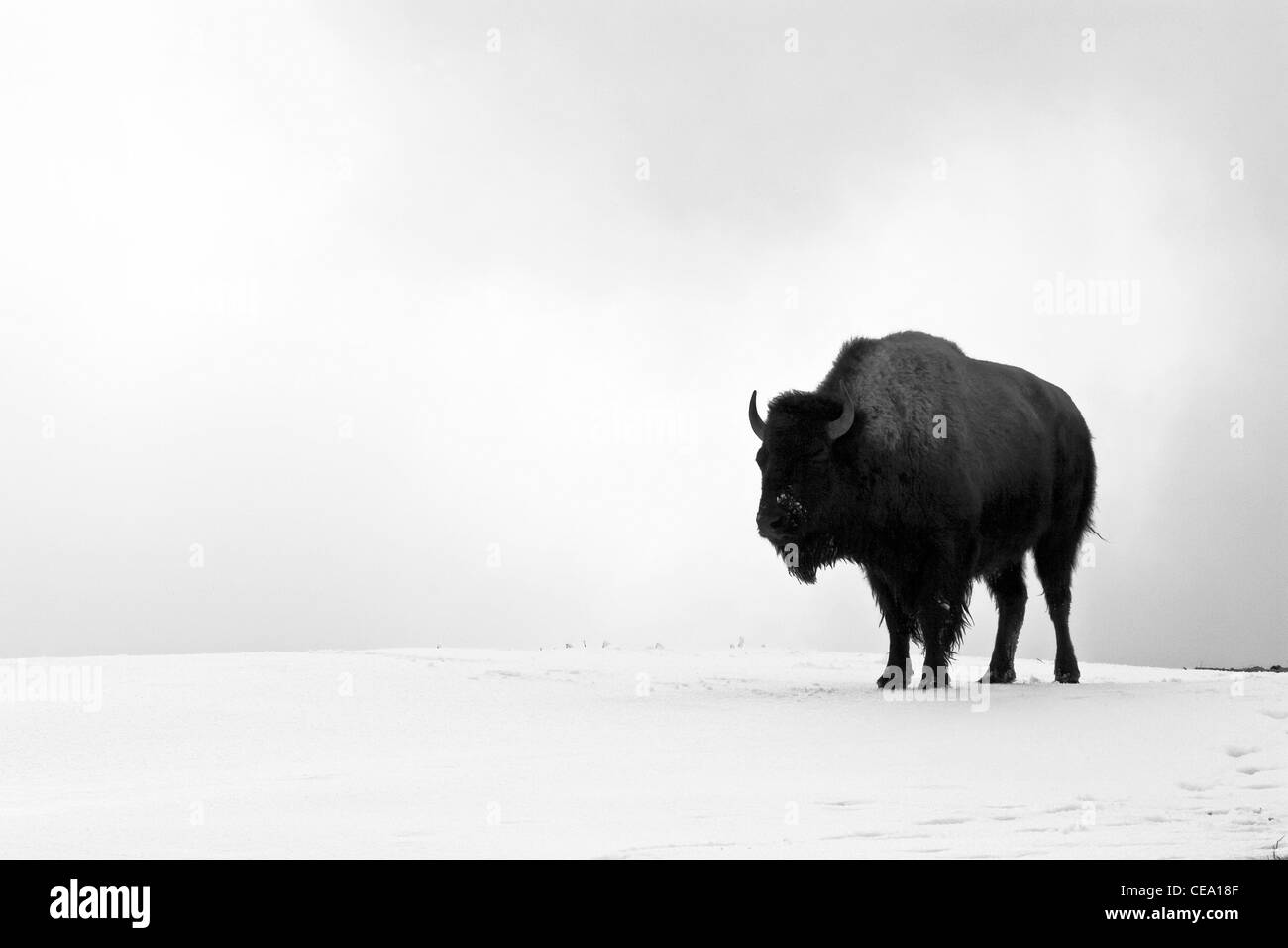 In steam Black and White Stock Photos & Images - Alamy