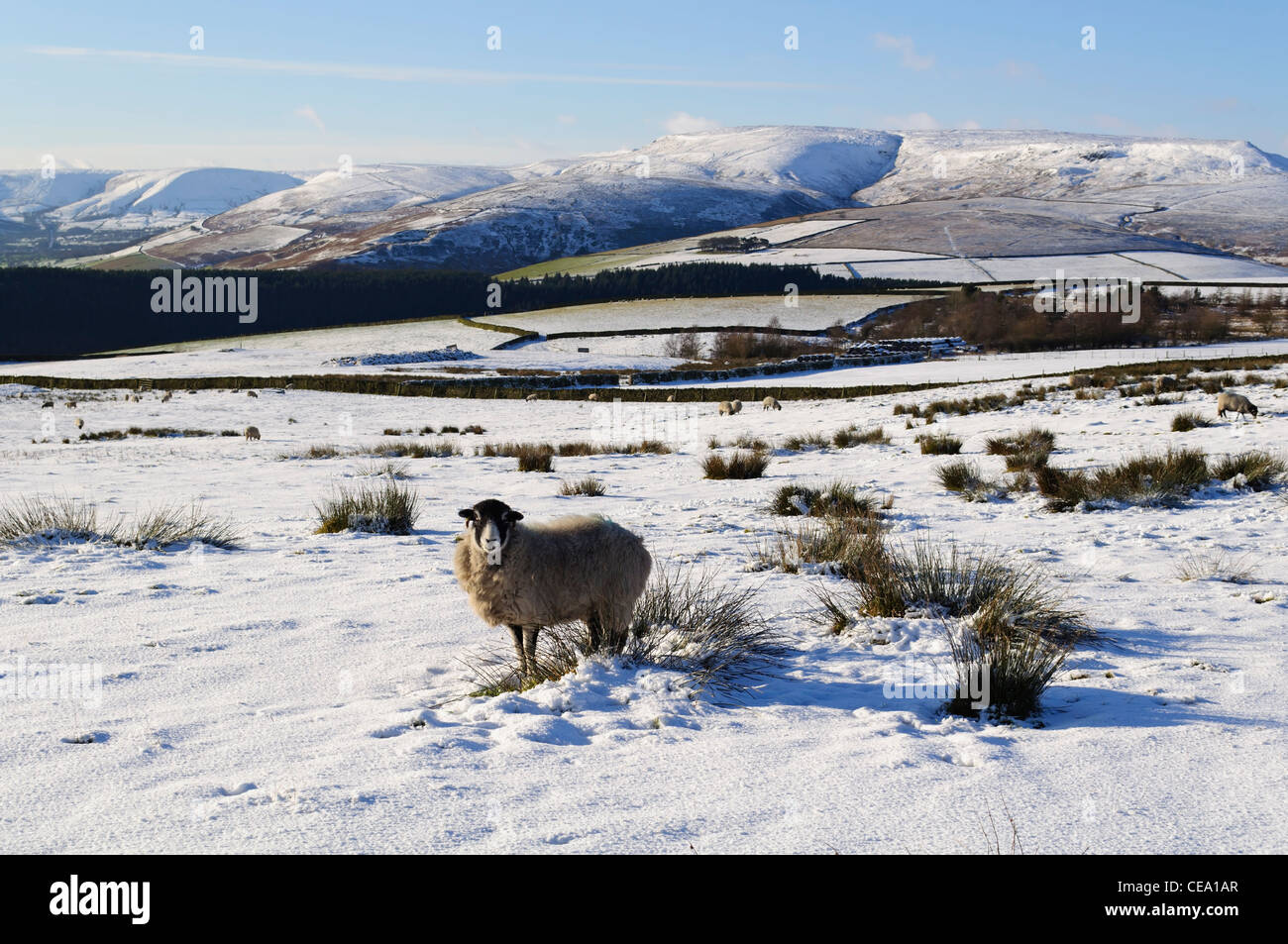 Rowlee Pasture in the Peak District National Park Derbyshire Stock ...