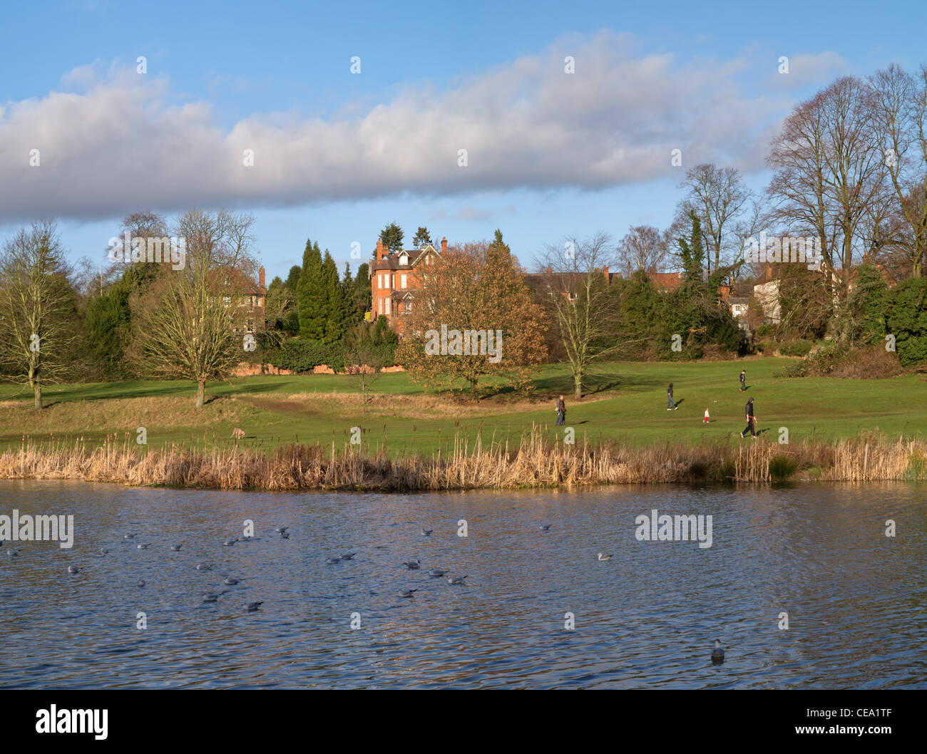 park lake and river kenilworth warwickshire in england in the uk Stock ...