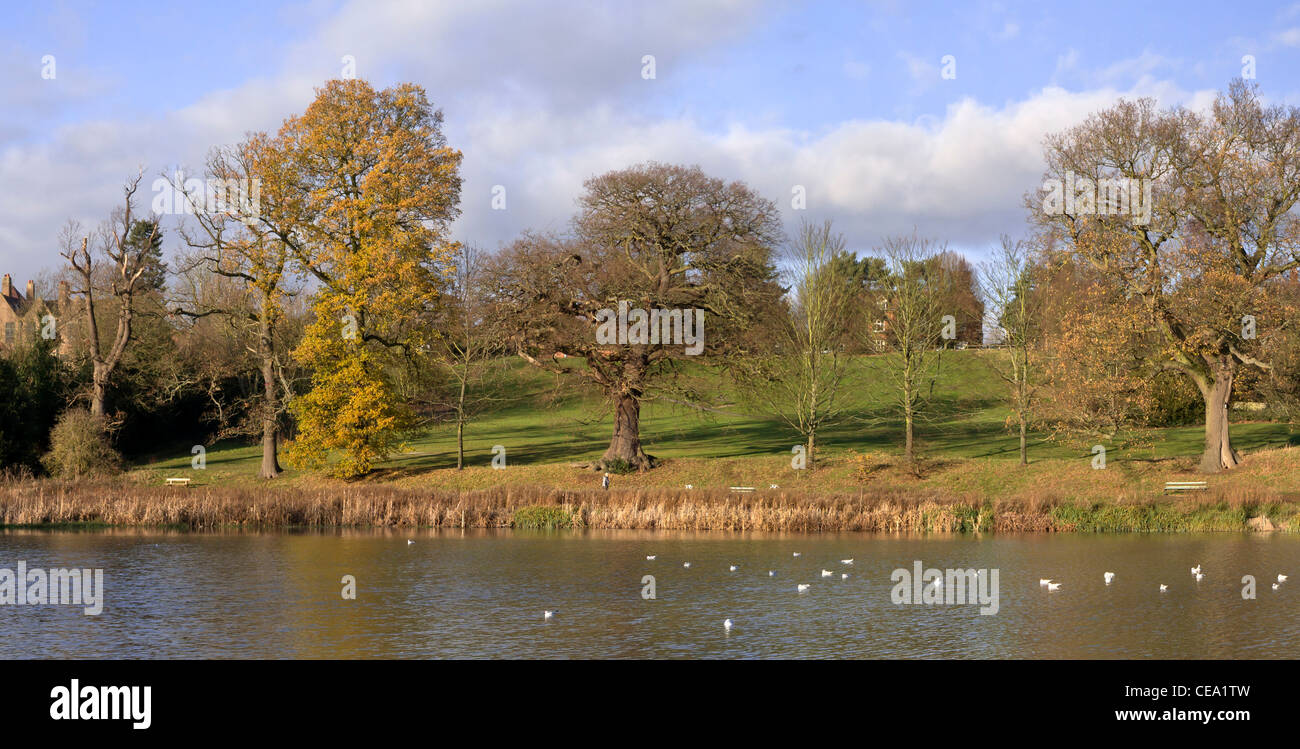 park lake and river kenilworth warwickshire in england in the uk Stock ...