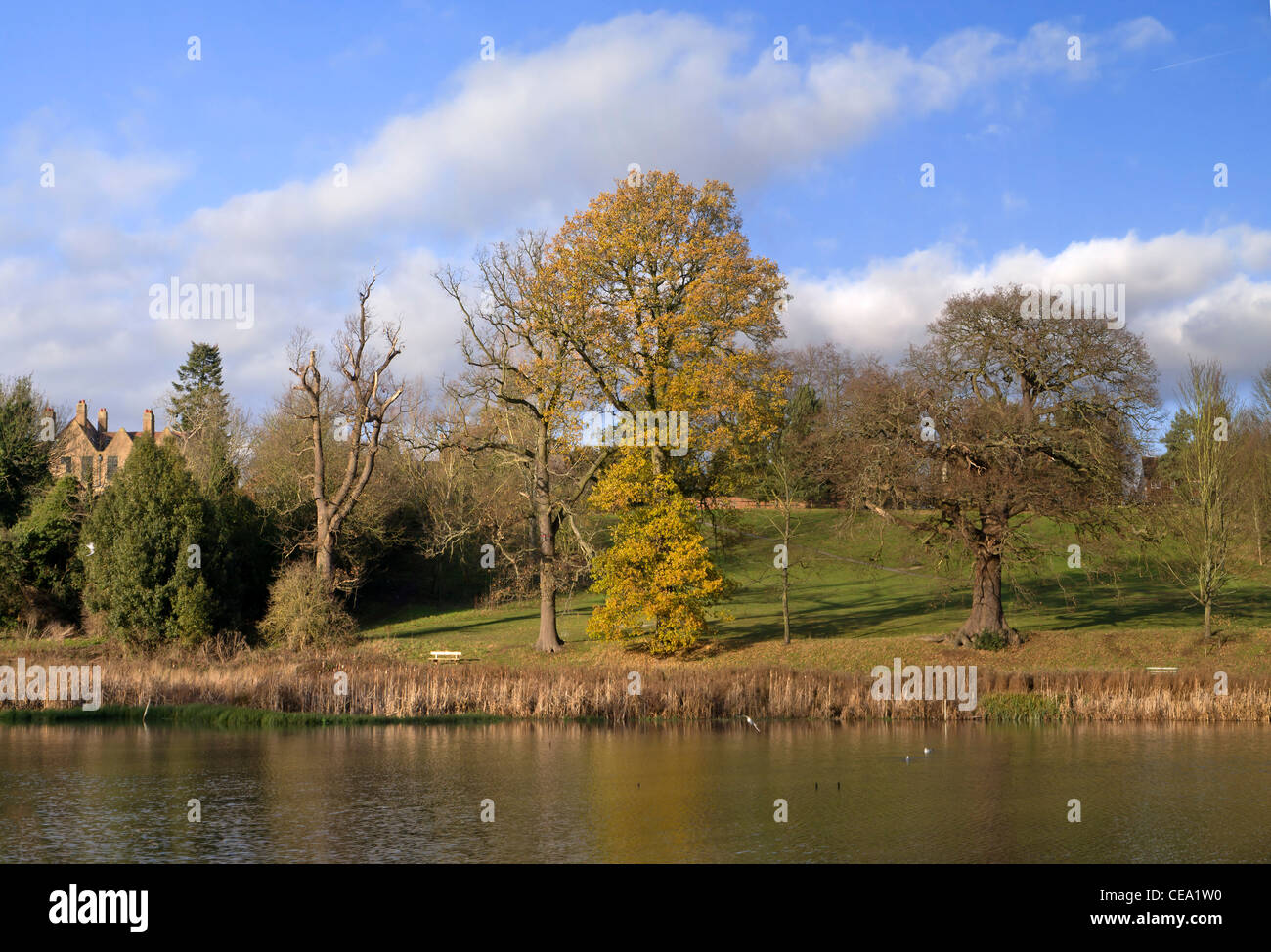 park lake river kenilworth warwickshire england uk recreation outdoors ...