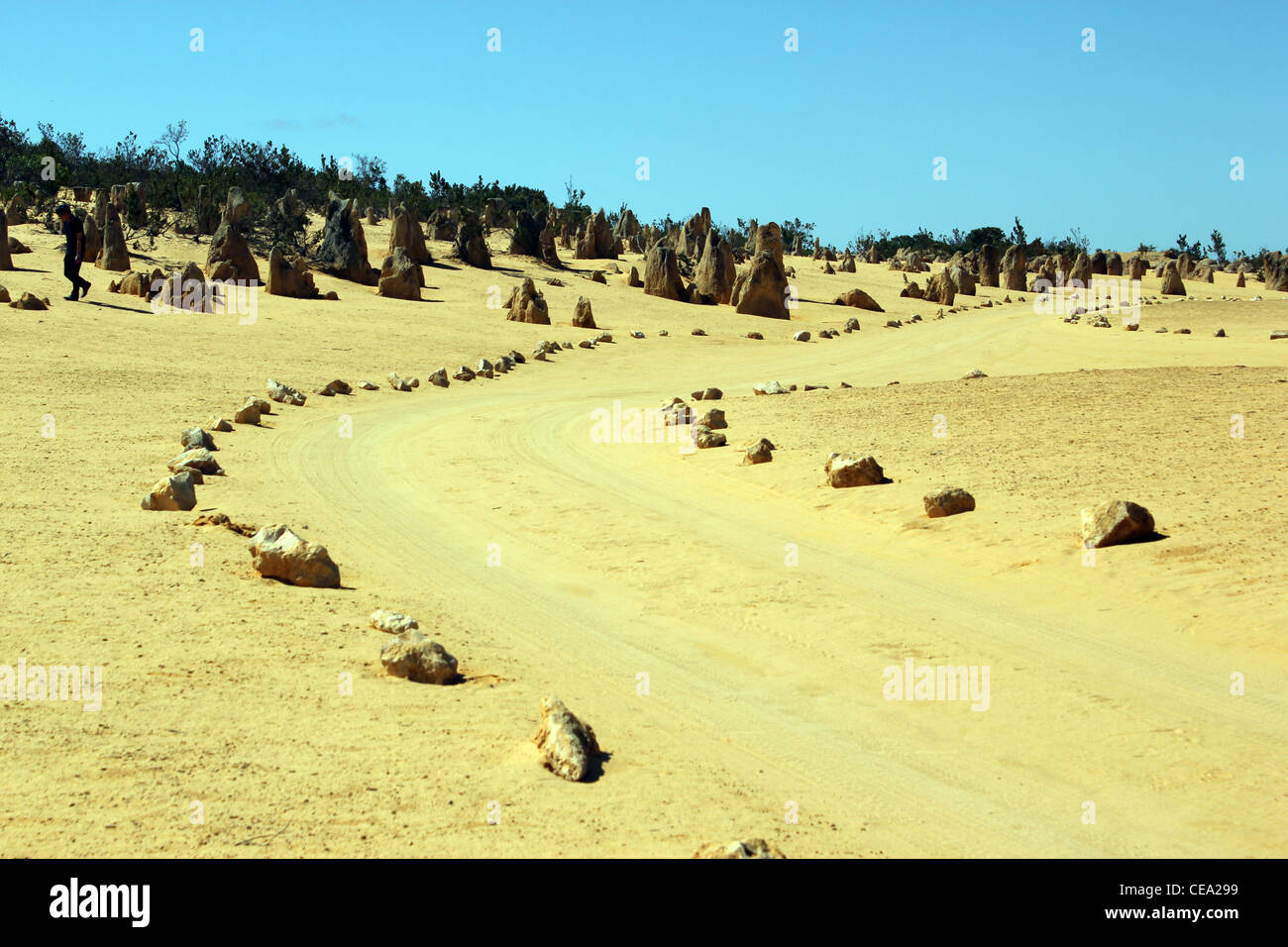 Pinnacles Perth Australia Stock Photo - Alamy