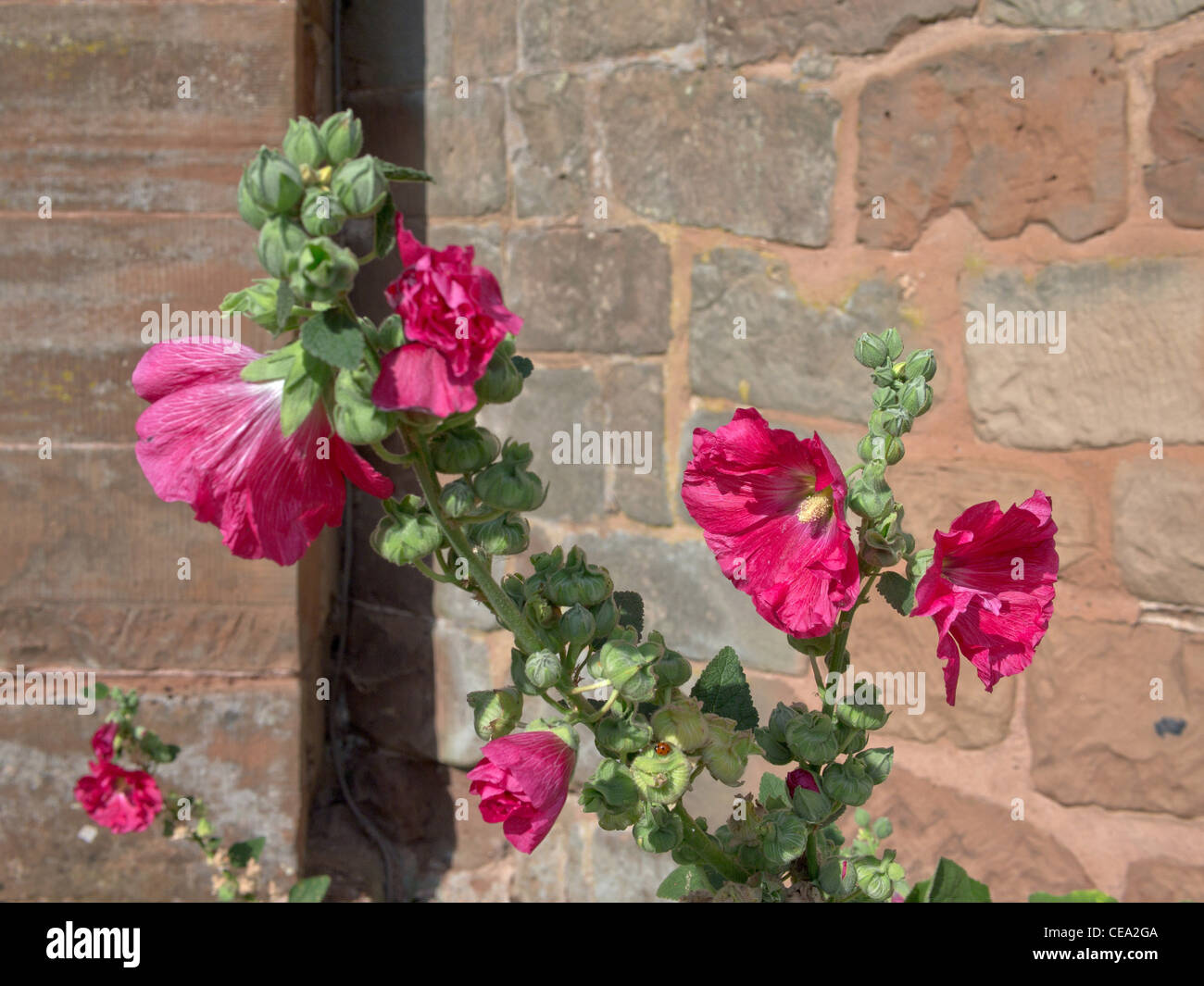 hanbury church worcestershire ambridge archers Stock Photo - Alamy