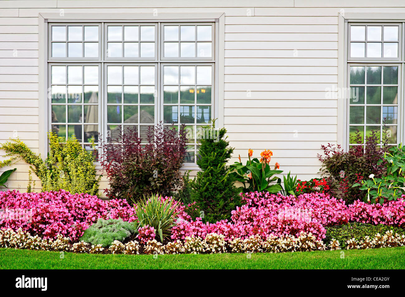 Flowerbed of colorful flowers against wall with windows Stock Photo - Alamy