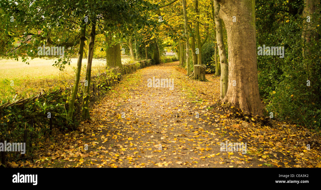 footpath - the millenium way / heart of england way warwickshire ...