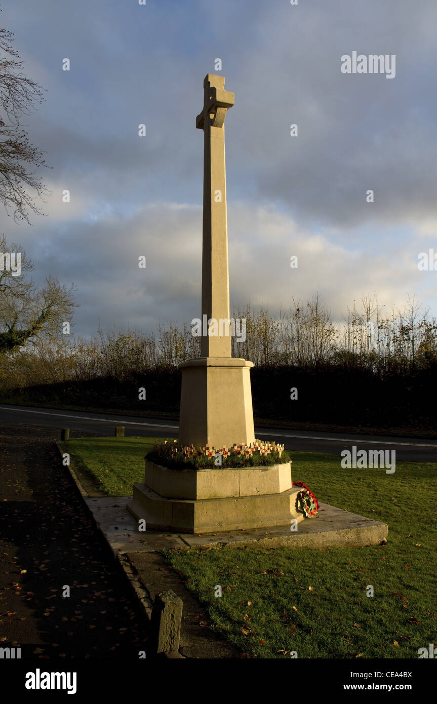remembrance sunday poppy poppies Stock Photo - Alamy