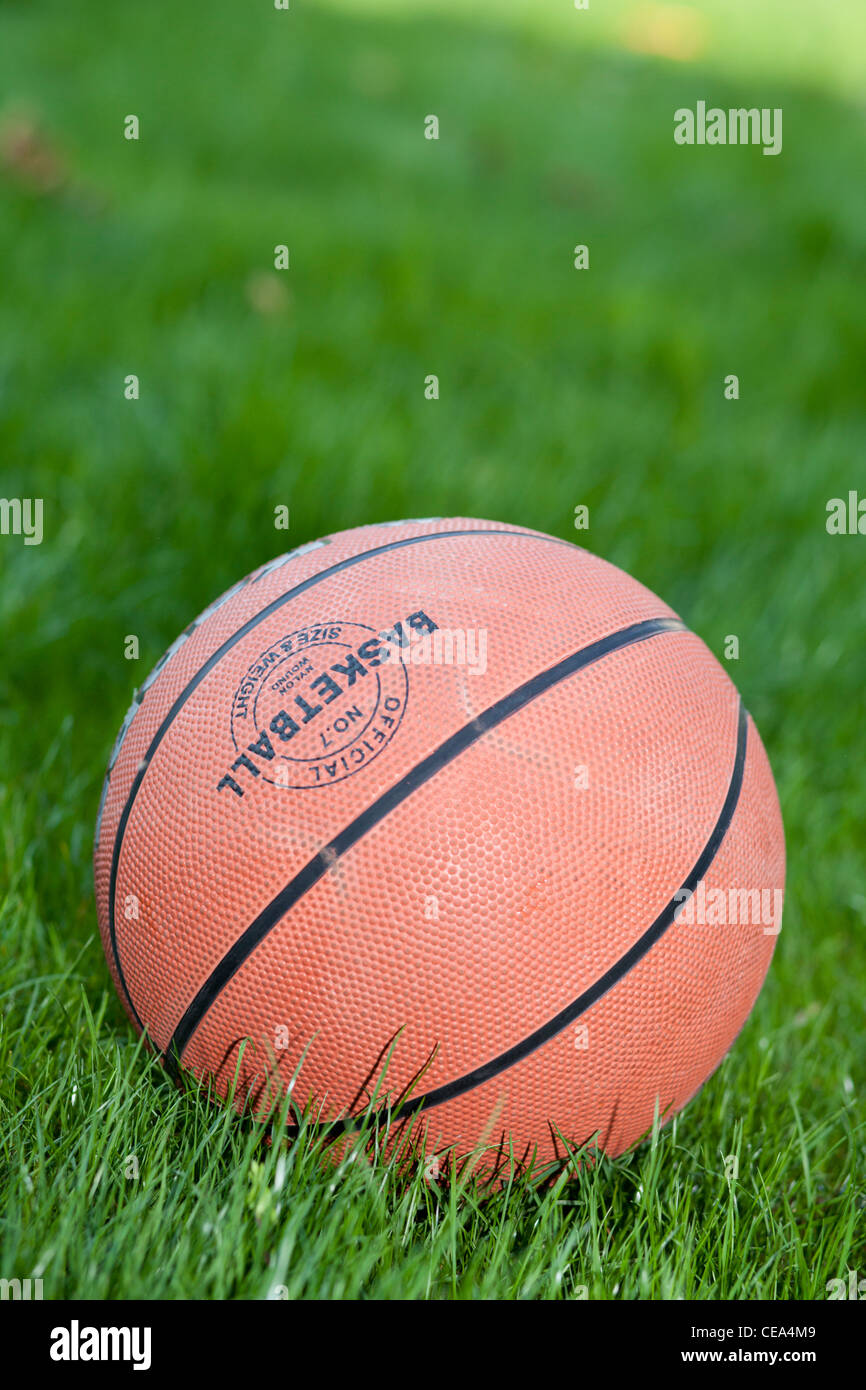 Basketball in a grass field Stock Photo - Alamy