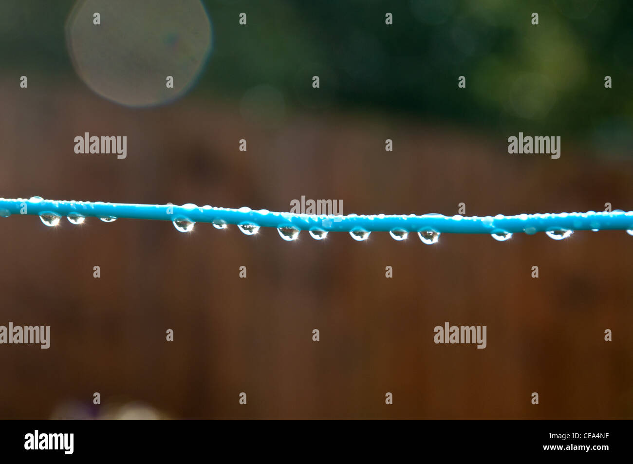 Wet blue washing line Stock Photo - Alamy