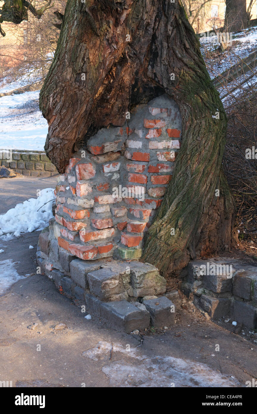 Tree trunk stone hi-res stock photography and images - Alamy