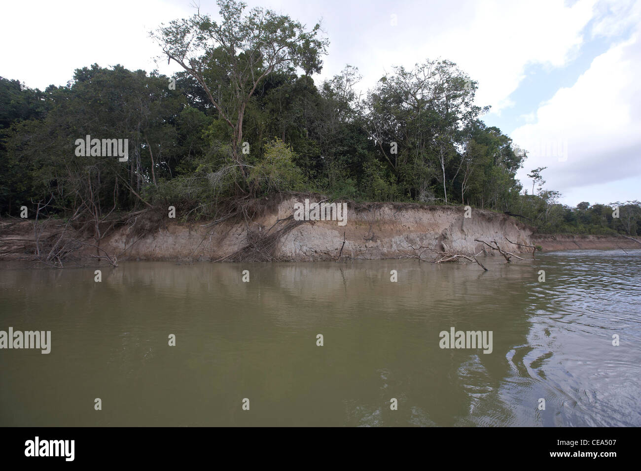 Rupununi High Resolution Stock Photography and Images - Alamy