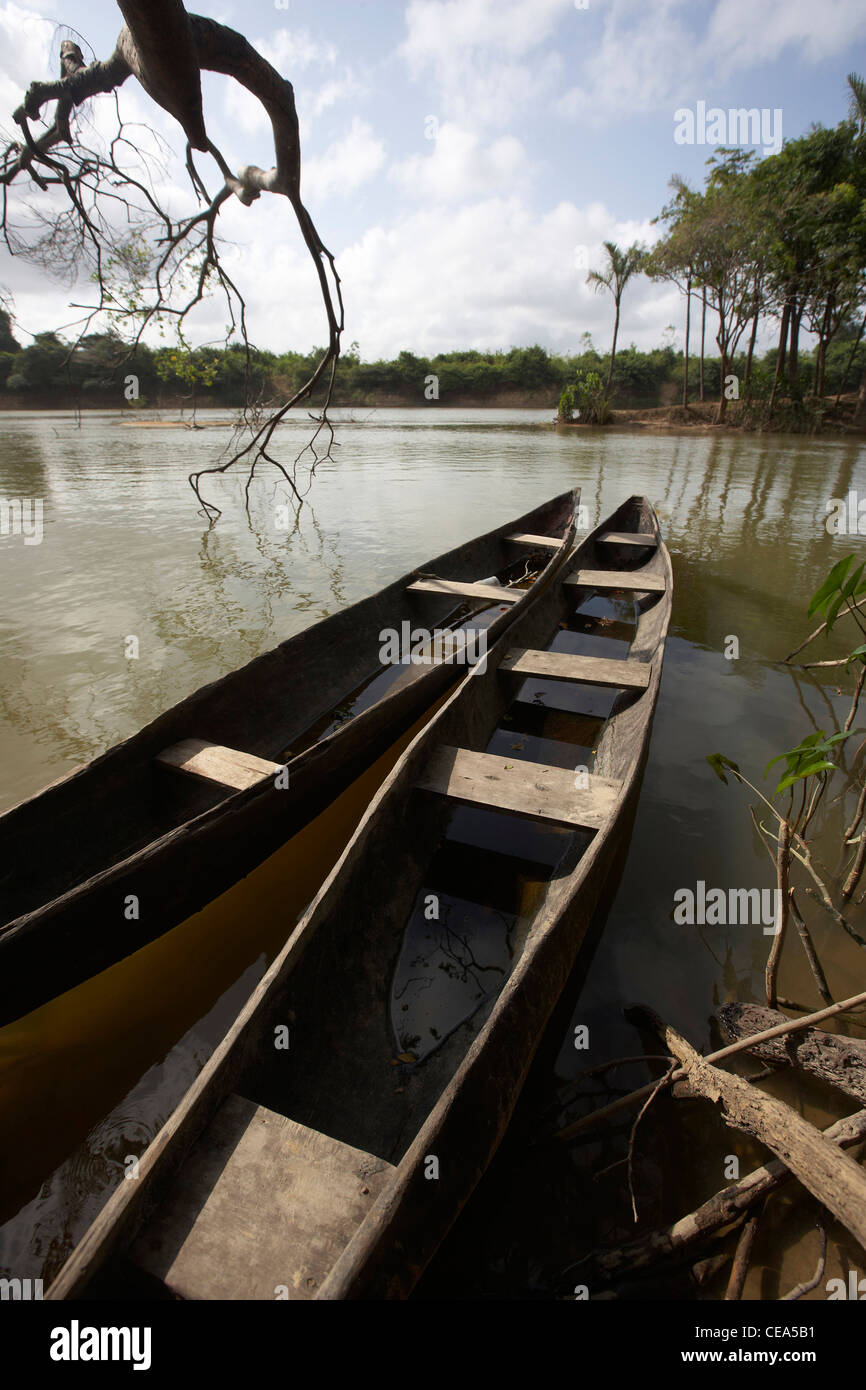 Dugout canoes on the Rupununi River, Guyana, South America Stock Photo ...