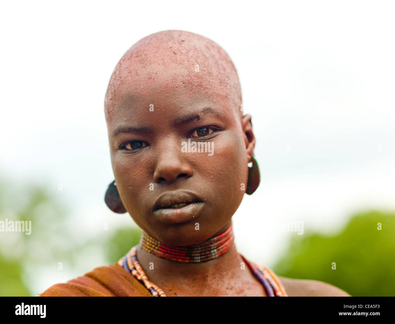 Shaved Ochre Dyed Hair Beautiful Bodi Woman Portrait Ethiopia Stock ...