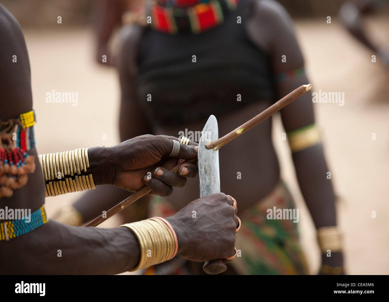 Great Whipper Cutting His Wooden Whip Before Celebrating Bull Jumping ...