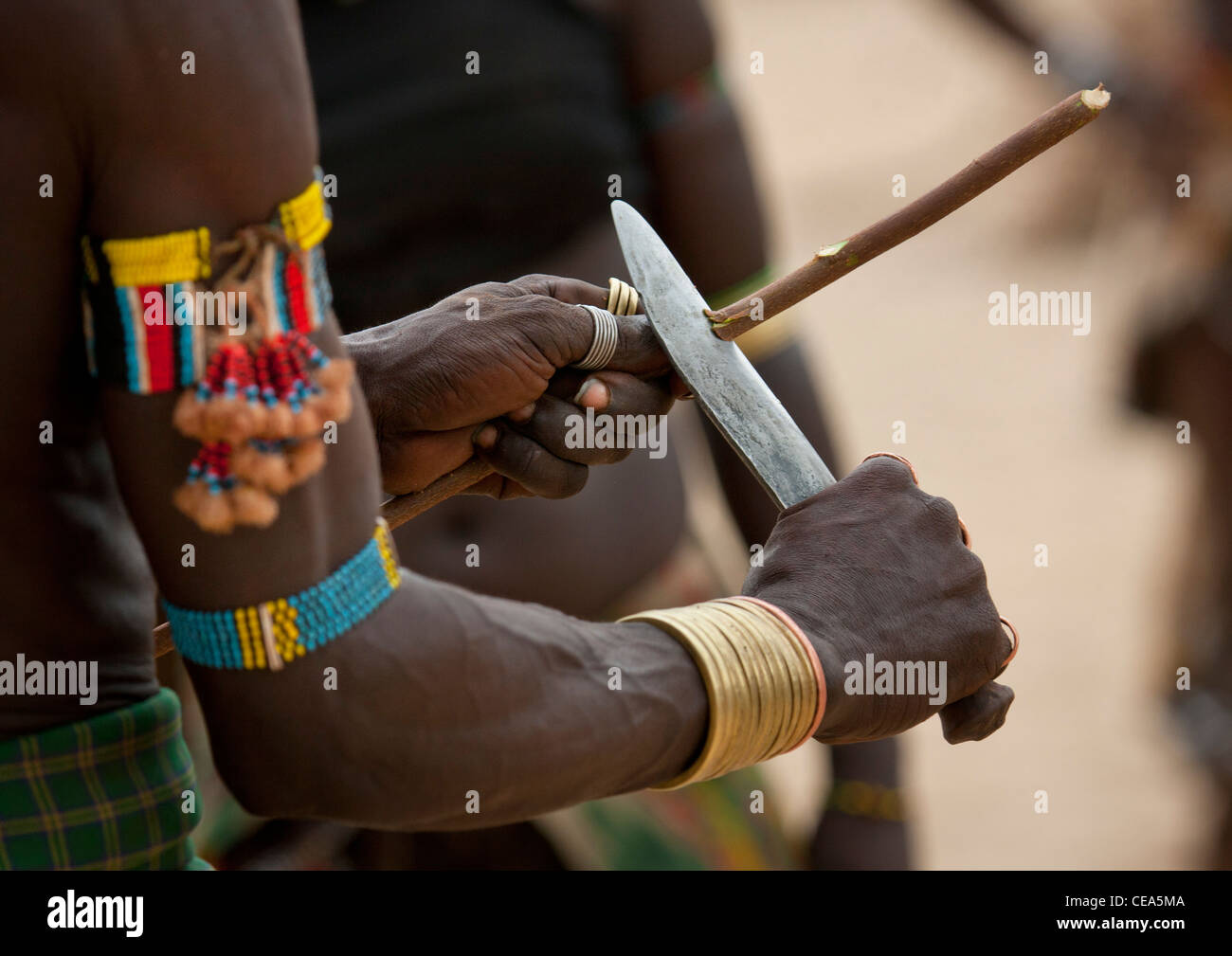 Bull whip hi-res stock photography and images - Alamy