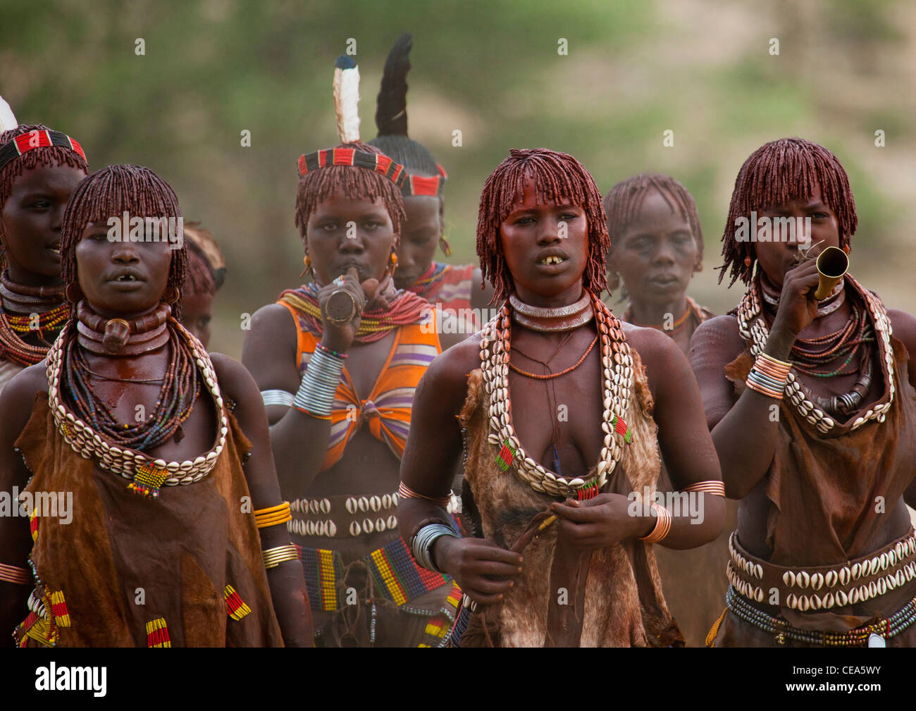 Hamer Women Celebrating Bull Jumping Ceremony By Traditional Ritual ...