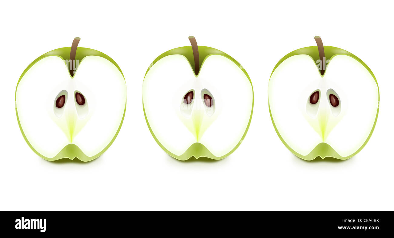 Illustration depicting three fresh apple halves arranged horizontally ...