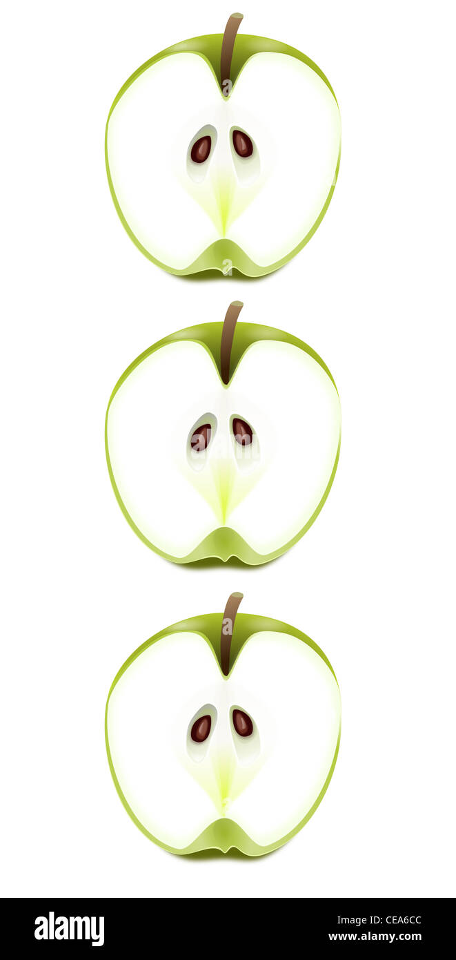 Illustration depicting three fresh apple halves arranged vertically ...