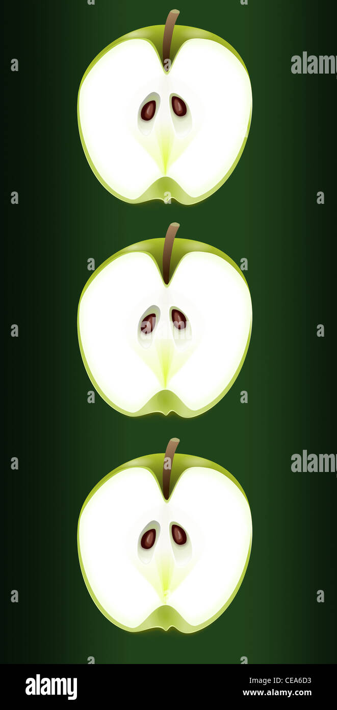 Illustration depicting three fresh apple halves arranged vertically ...