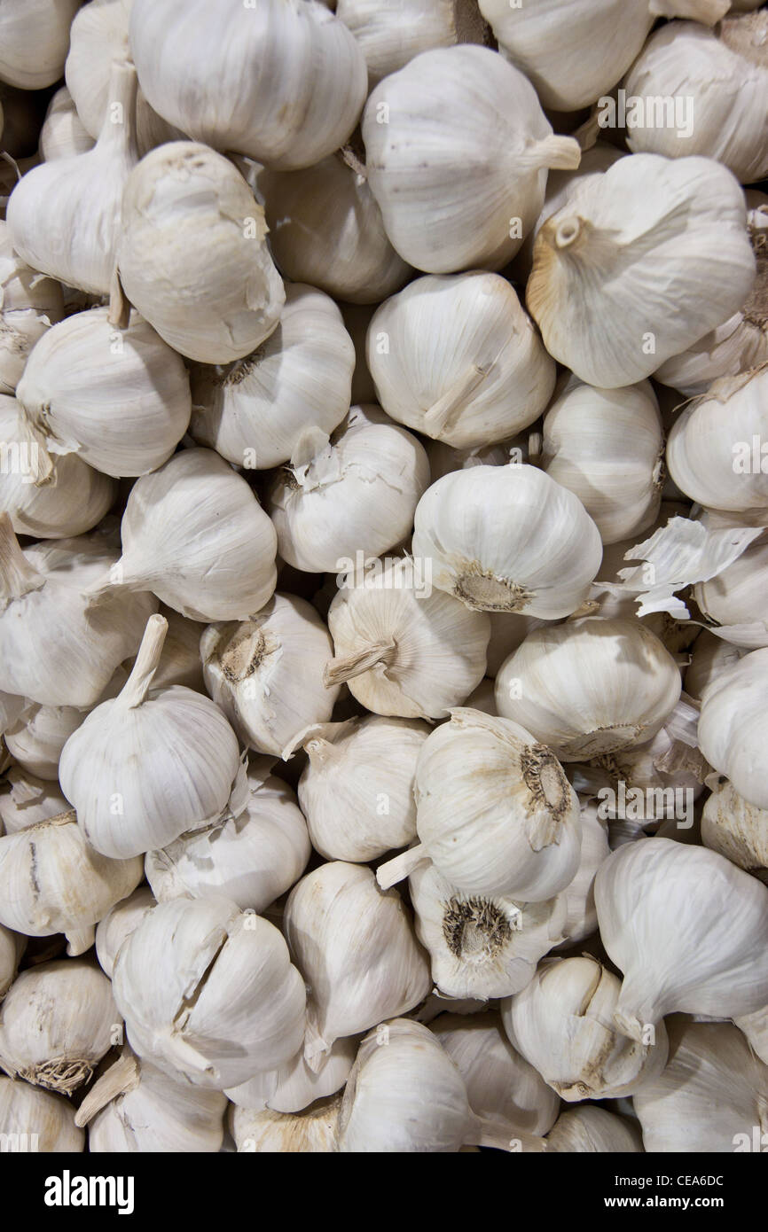 A lot of garlic like background Stock Photo - Alamy