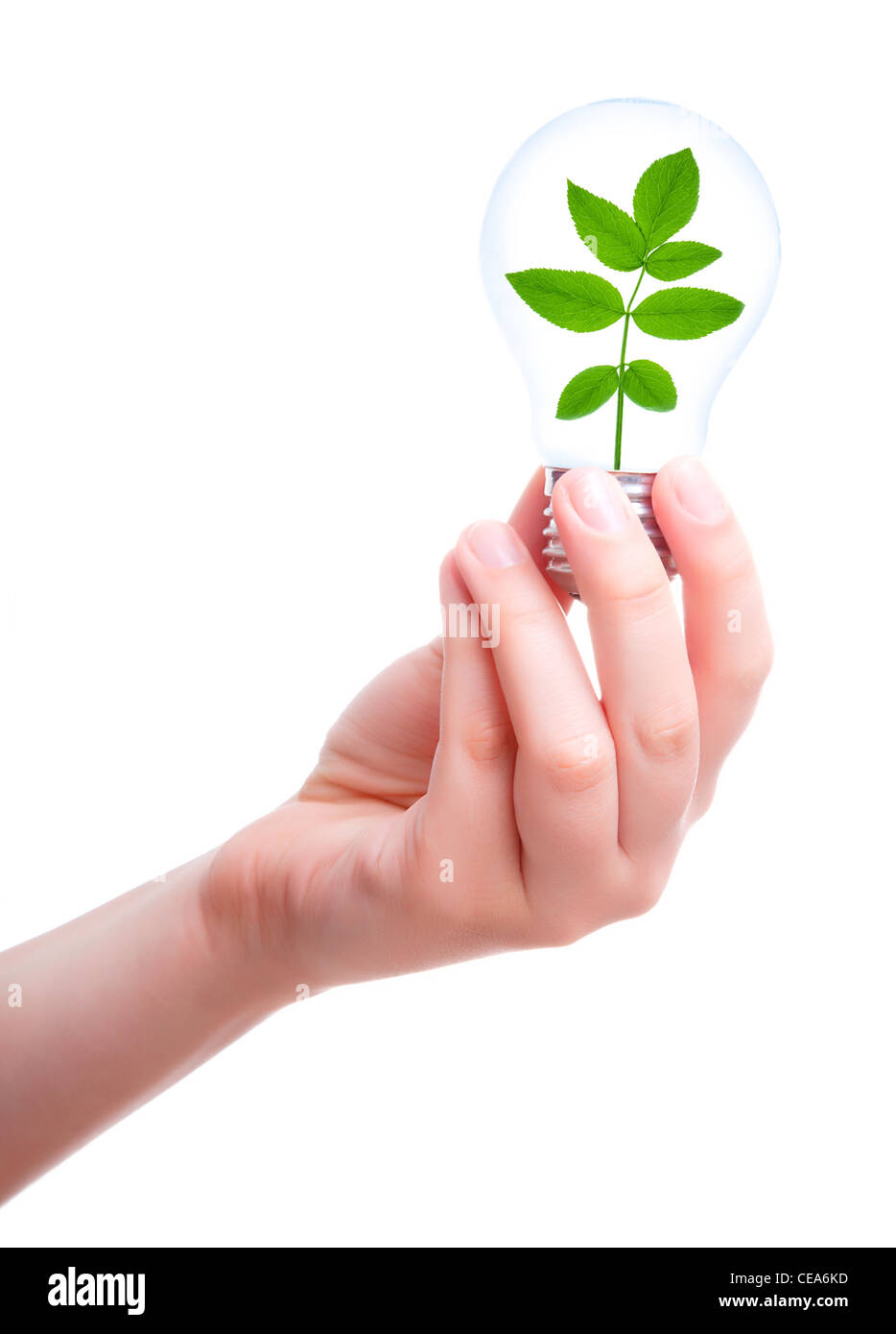 Lamp hand isolated hi-res stock photography and images - Alamy