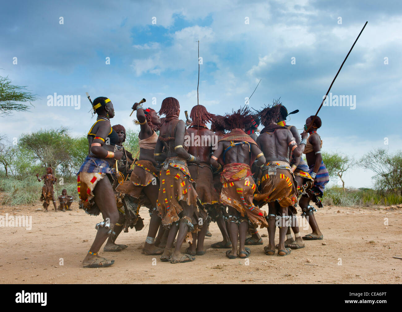 Hamer People Celebrating Bull Jumping Ceremony By Traditional Ritual ...