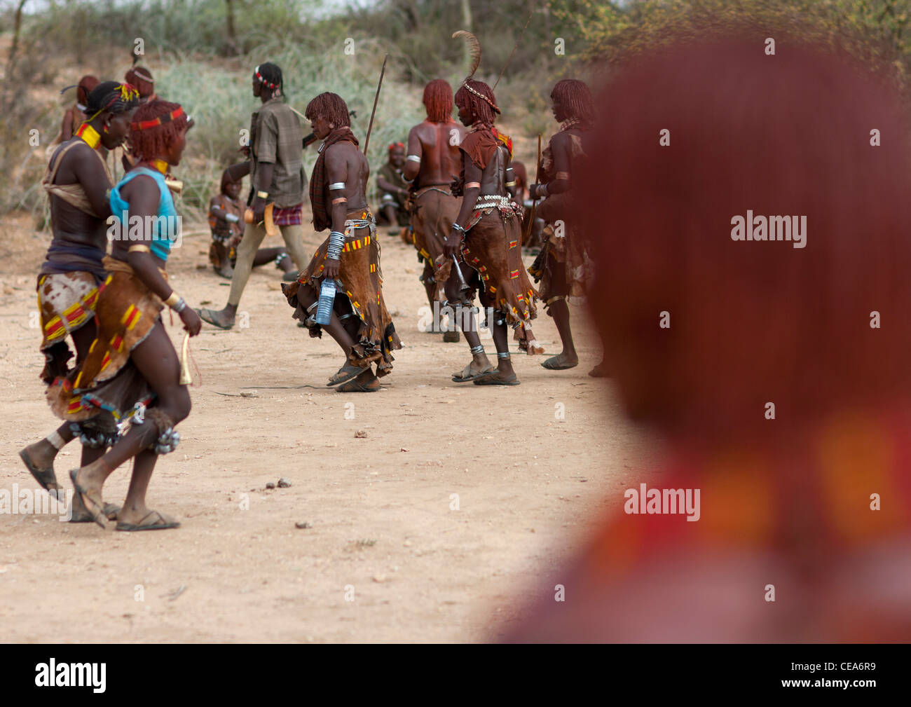 Hamer People Celebrating Bull Jumping Ceremony By Traditional Ritual ...