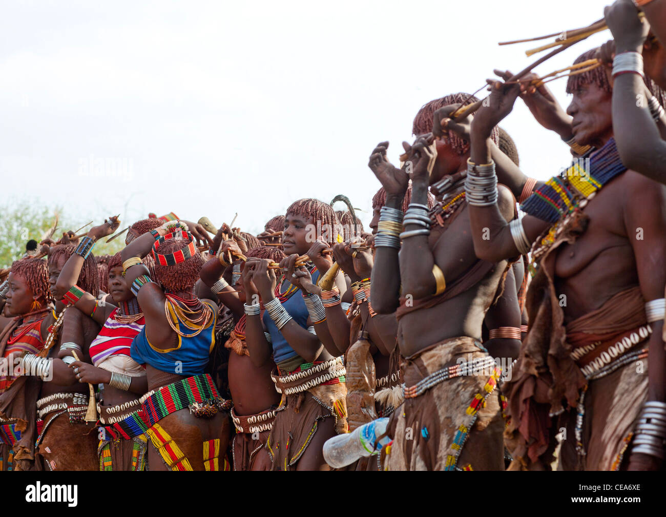 Hamer People Celebrating Bull Jumping Ceremony By Traditional Ritual ...