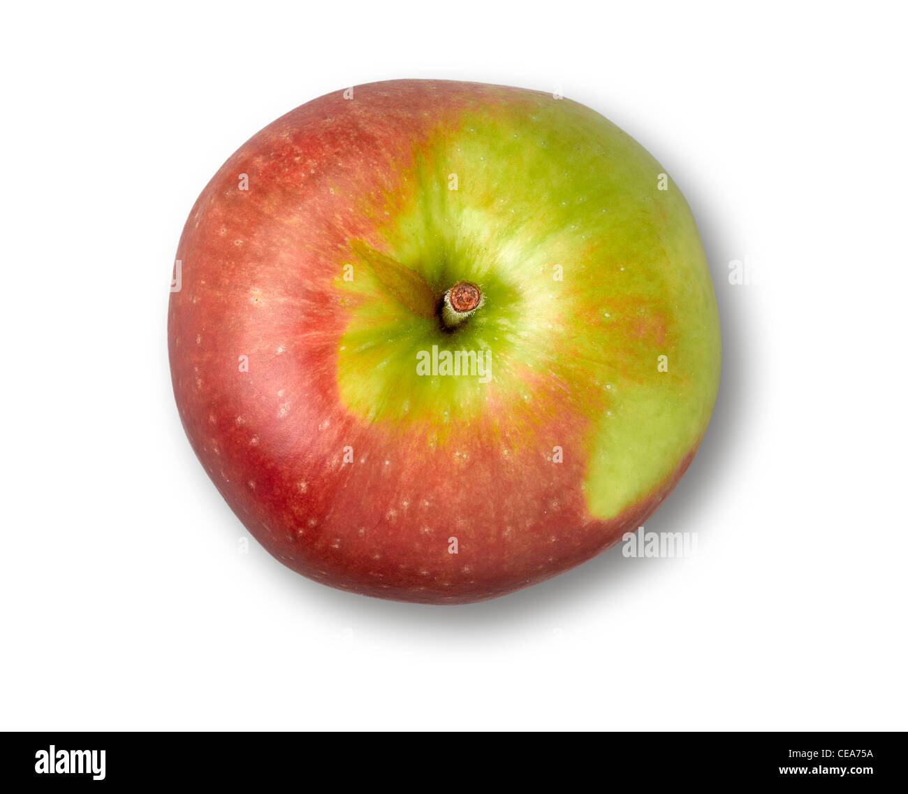 Red apple isolated over white background. Top view Stock Photo - Alamy