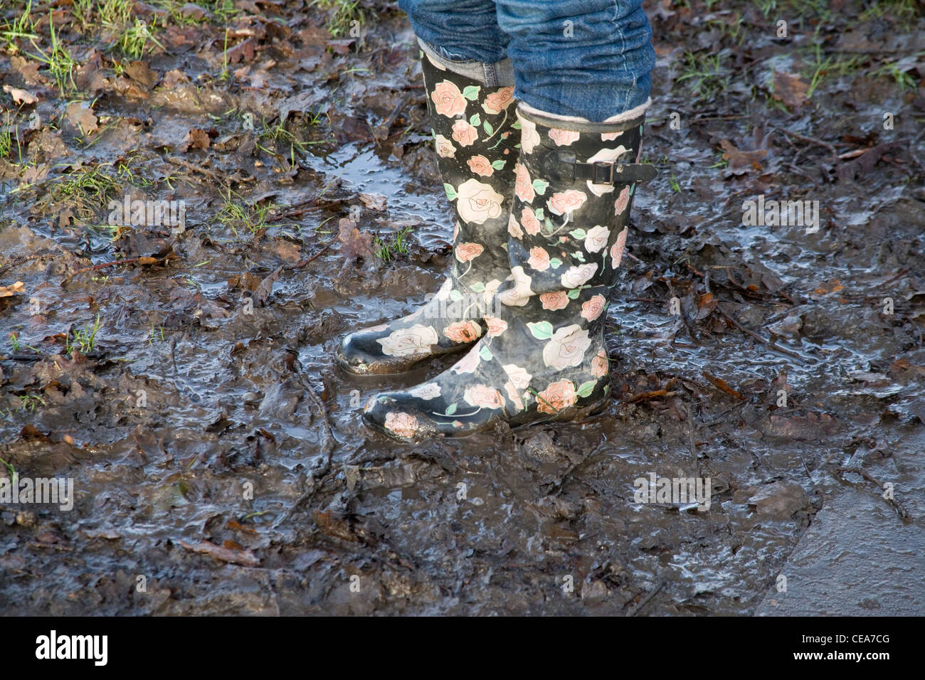 Stuck in mud hi-res stock photography and images - Alamy Stuck in mud hi-res stock photography and images - Alamy