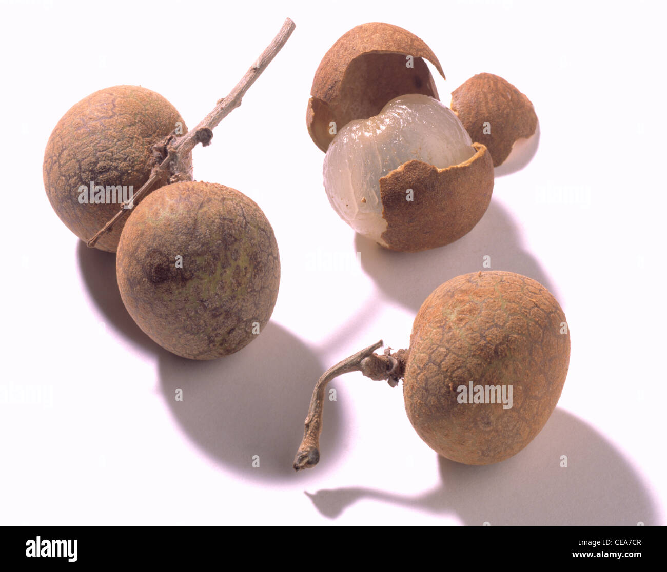 Cut out: Longan Stock Photo - Alamy