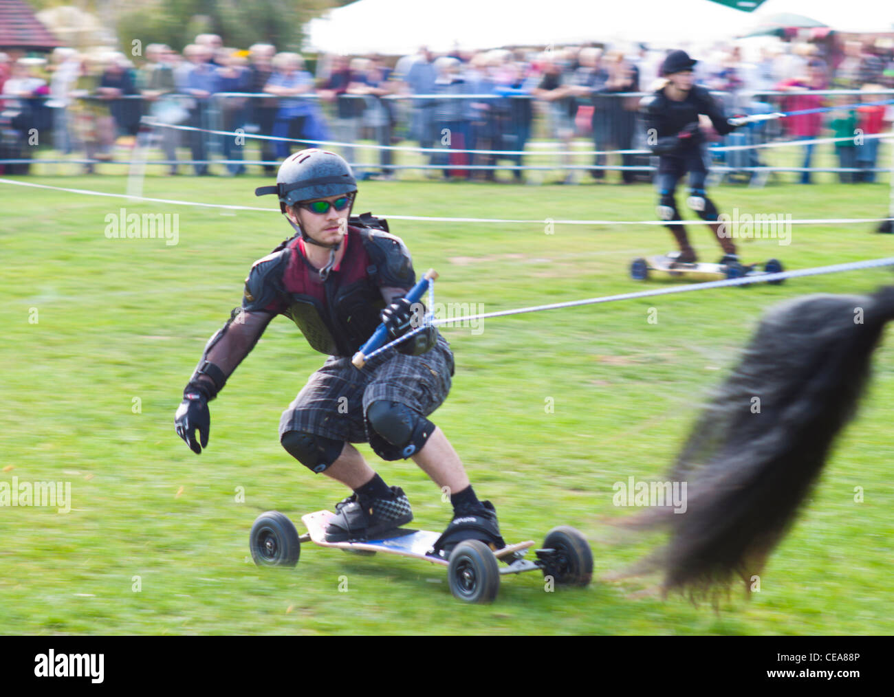 Horse boarding competition hi-res stock photography and images - Alamy