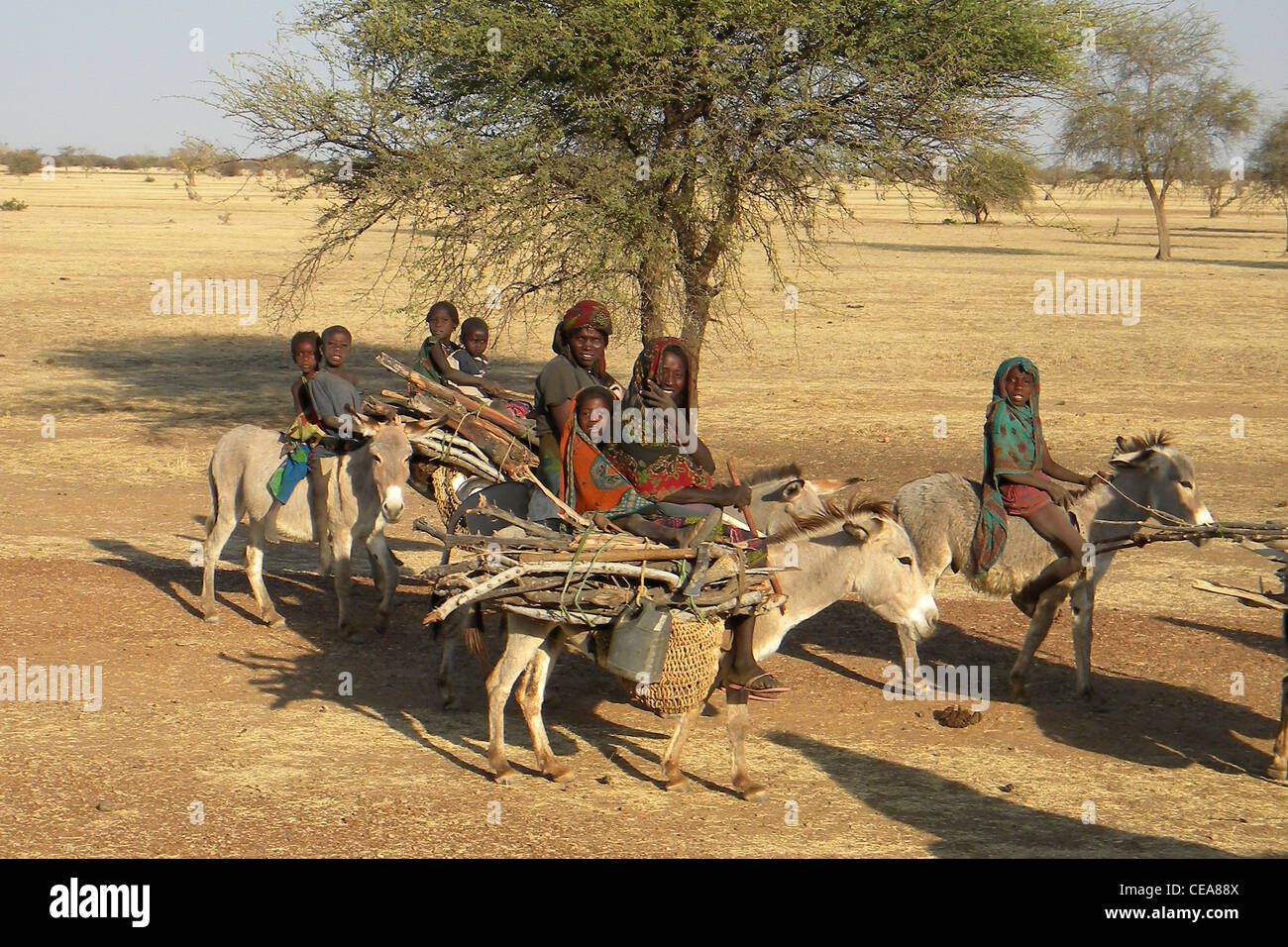 Daily life, Bahar el Gazal, Chad Stock Photo - Alamy