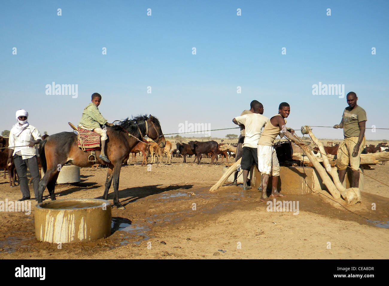 Arab tribe at local well, Bilitine region, Chad Stock Photo - Alamy