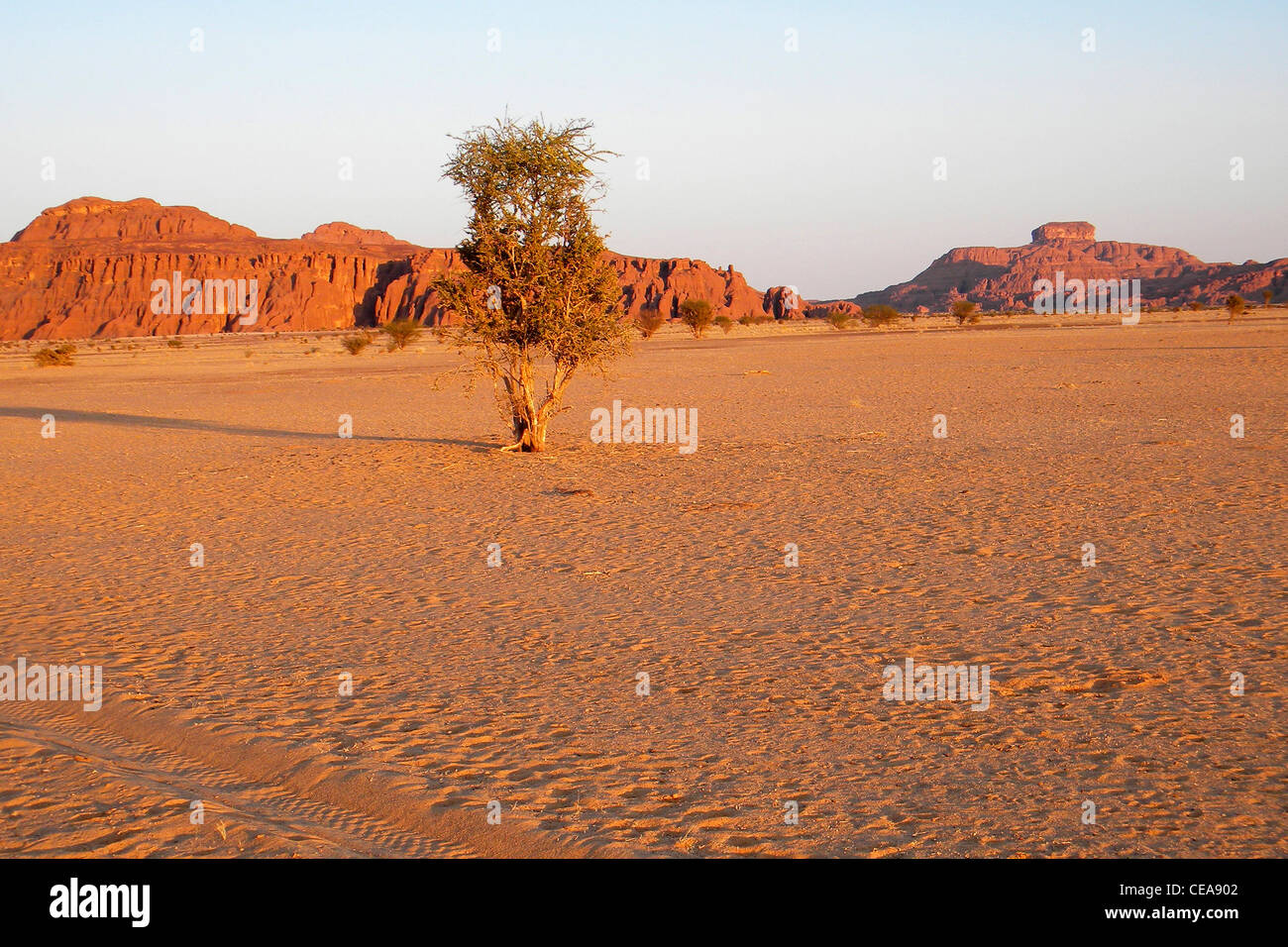 Ennedi region, Chad Stock Photo - Alamy